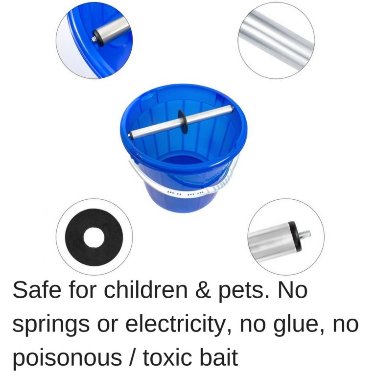 Odesos Mouse Catching Device – Live Catch and Release Bucket Humane ...